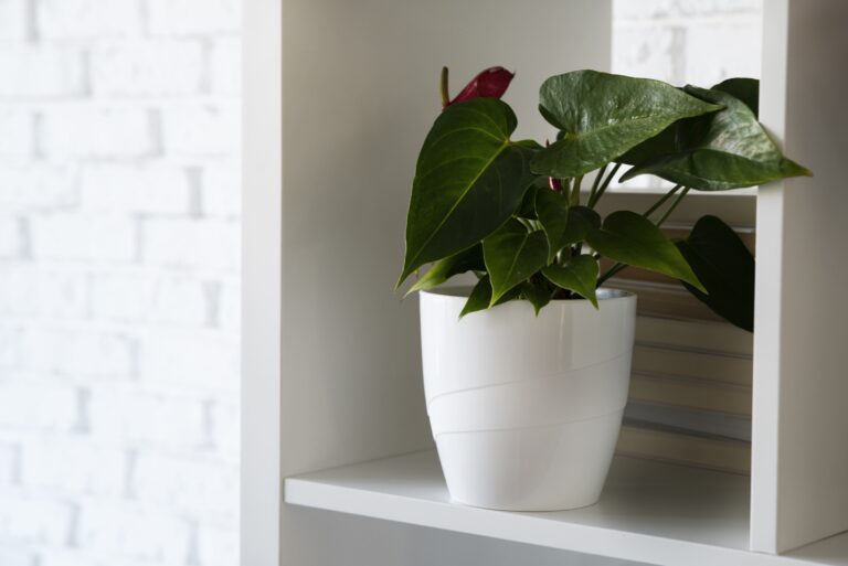 Japanese Muji Style Kitchen: Why Muji Kitchen Design Is the Best And ...